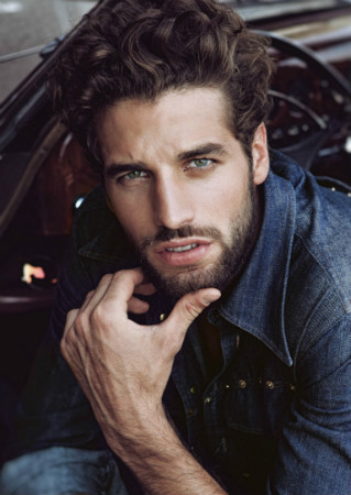 PAUL Ferrari | Premium Models