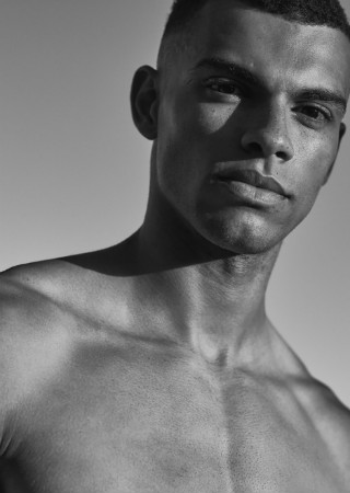 quinten . | Premium Models